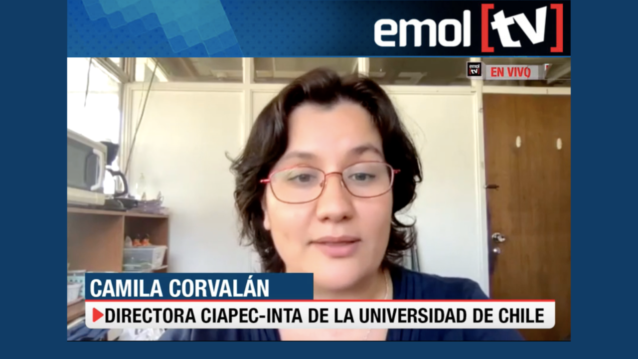 [PRENSA] Camila Corvalán y Ley de etiquetado: “Sellos también tienen ...